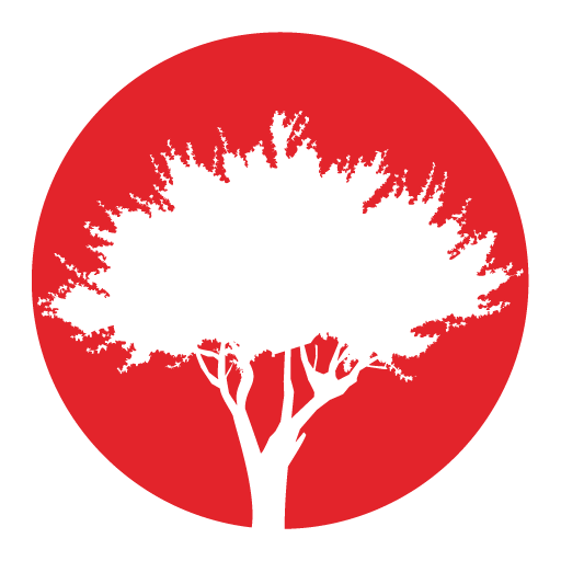 Redbud Partners LLC | Building for the Future